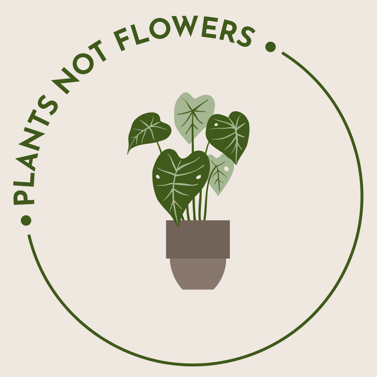 Plants not Flowers